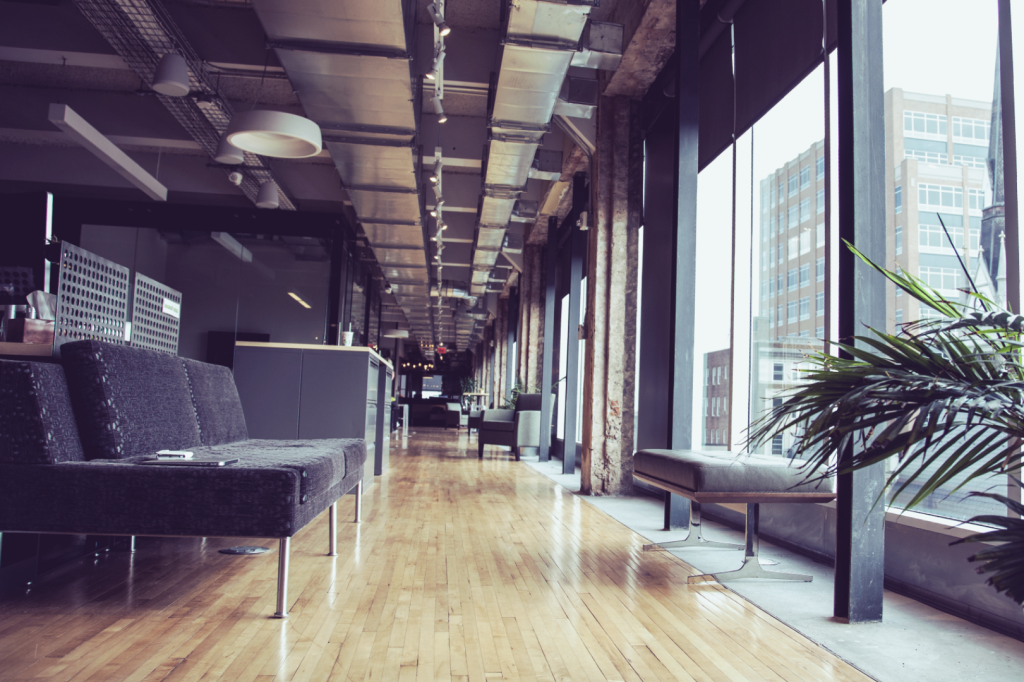 Meet the Team - Trifecta